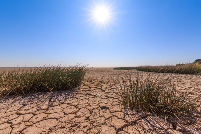 CDC on the Connection between Drought and Public Health | Natural ...
