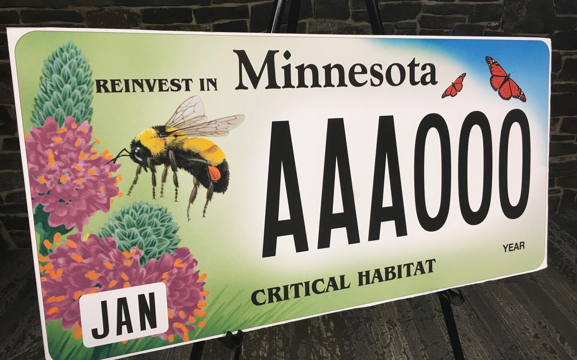 DNR unveils new pollinator license plate to help preserve critical ...