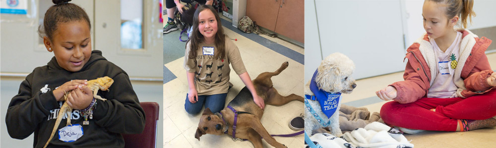 Humane Society of Sonoma County Camps