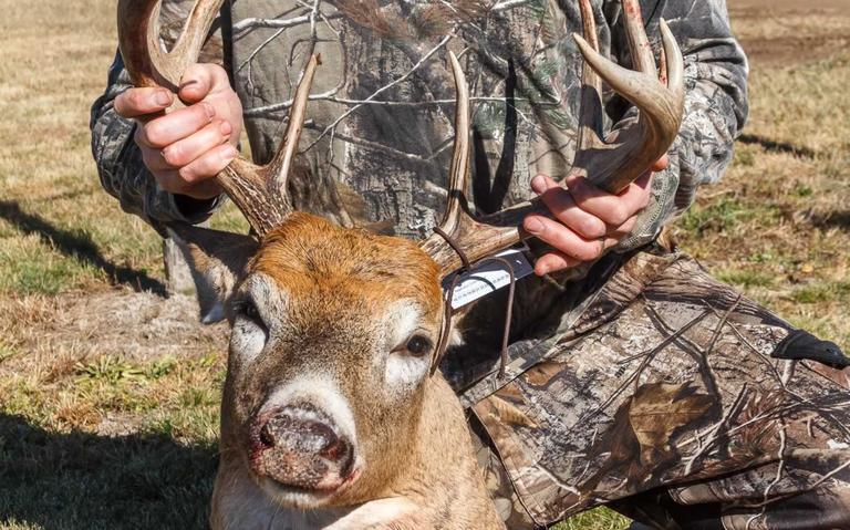 Archers have good success at Camp Ripley hunt | Boreal Community Media