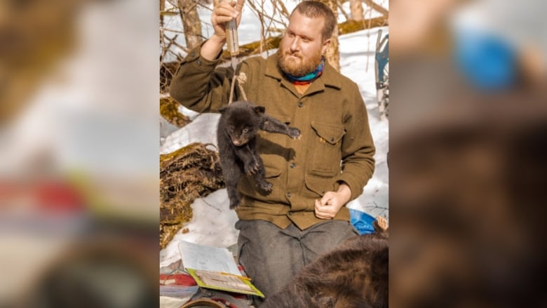 Minnesota asks for Ontario's help after American bear settles near ...