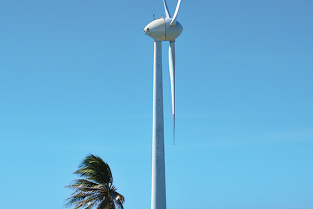 Hurricane-Resilient Wind Turbines Modeled After Palm Trees | Natural ...