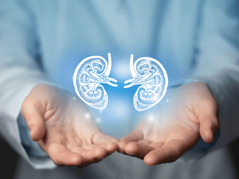 Understanding the Six Organs of Detoxification | Natural Awakenings ...