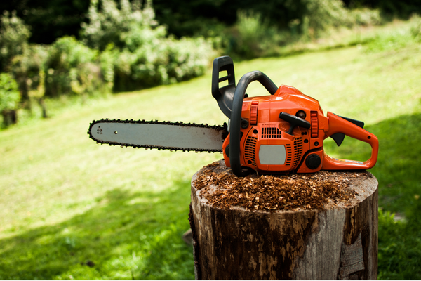 Chainsaw and Tree Felling Safety Course (Includes OSHA Training) - Level 1