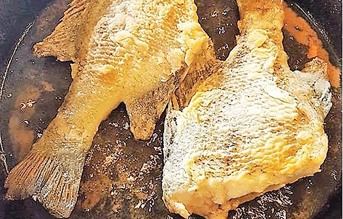 A Piscivore's Dilemma | Mountain Home Magazine